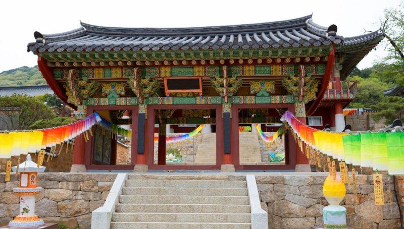 15 INCREDIBLE things to do in Busan + tips & tricks - Daily Travel Pill