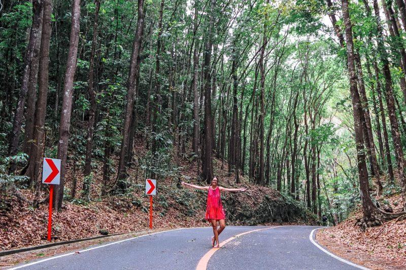 The ULTIMATE 3-day Bohol itinerary - with prices - Daily Travel Pill